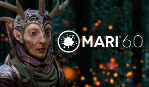 Mari 6.0 | Foundry